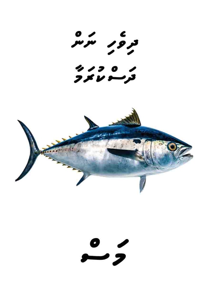 Dhivehi Nan Dhaskurama - Mas | Novelty Bookshop